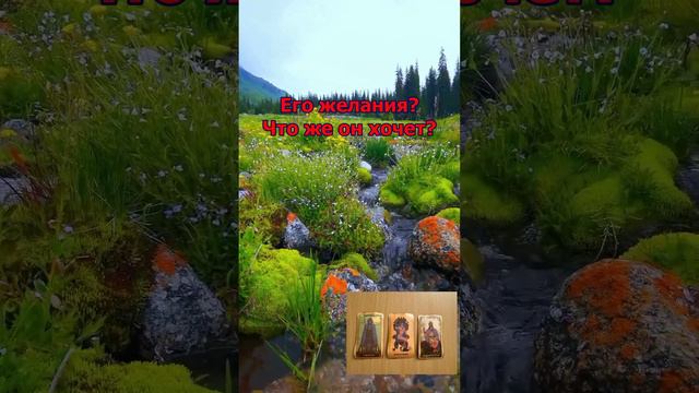 Его желания?💃🏻Что от тебя хочет?🔮