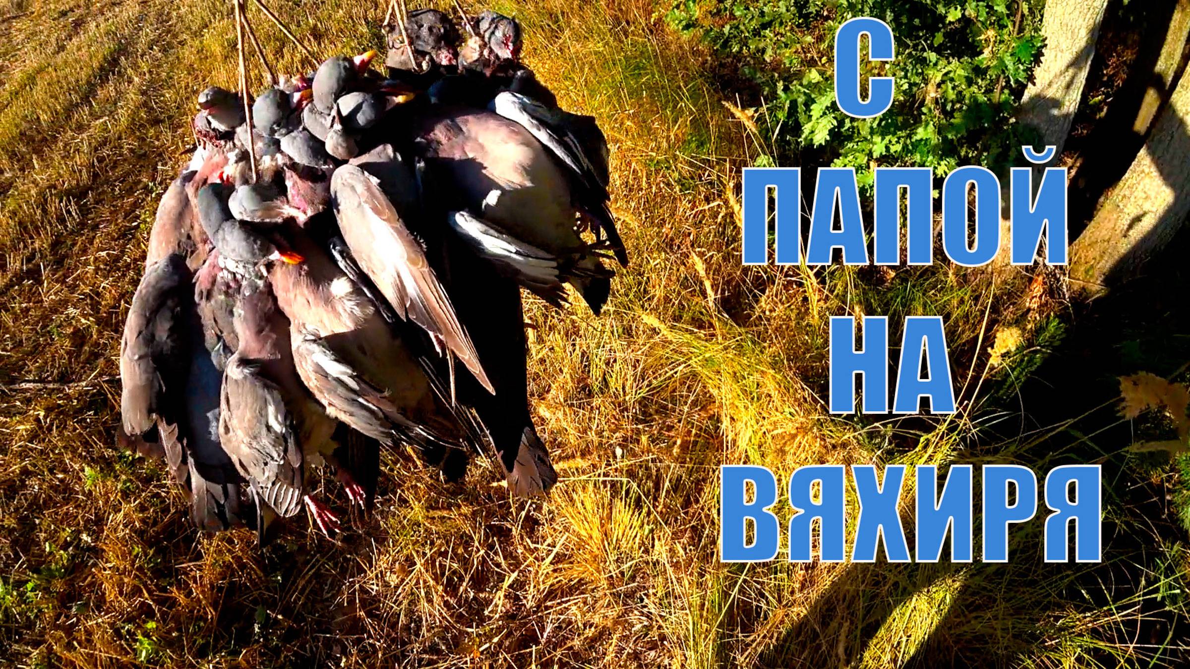 Охота с двухстволками на ВЯХИРЯ