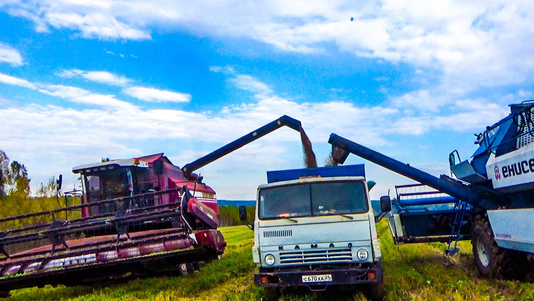 Объявлен режим ЧС! Дождливая уборочная 2024 года.