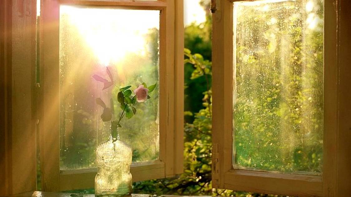 Анна Ахматова: "МОЛЮСЬ ОКОННОМУ ЛУЧУ ..." Читает — Елена Артёменко. Проект: "МОСТ: диалог с юностью"