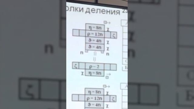 Деление Урана на Барий и Криптон