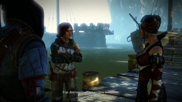 Ведьмак 2. Серия № 3. Интересный городок. Кейран!?