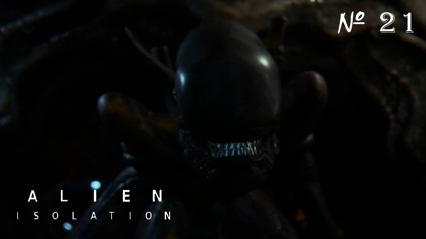 1000 смертей йо-хо-хо ▬ Alien Isolation № 21