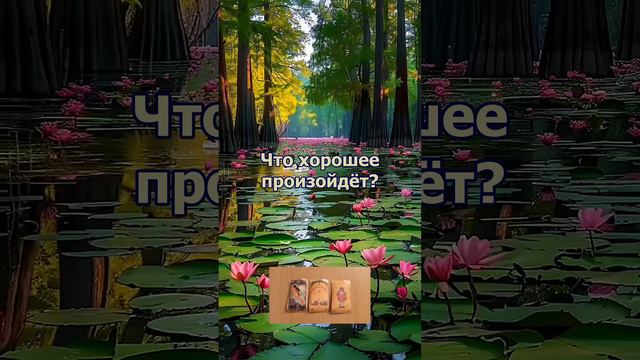 Что хорошее произойдёт?💫Это уже на пороге🏕️