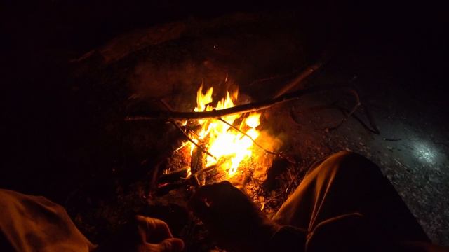 Ночная рыбалка на фидер 2024