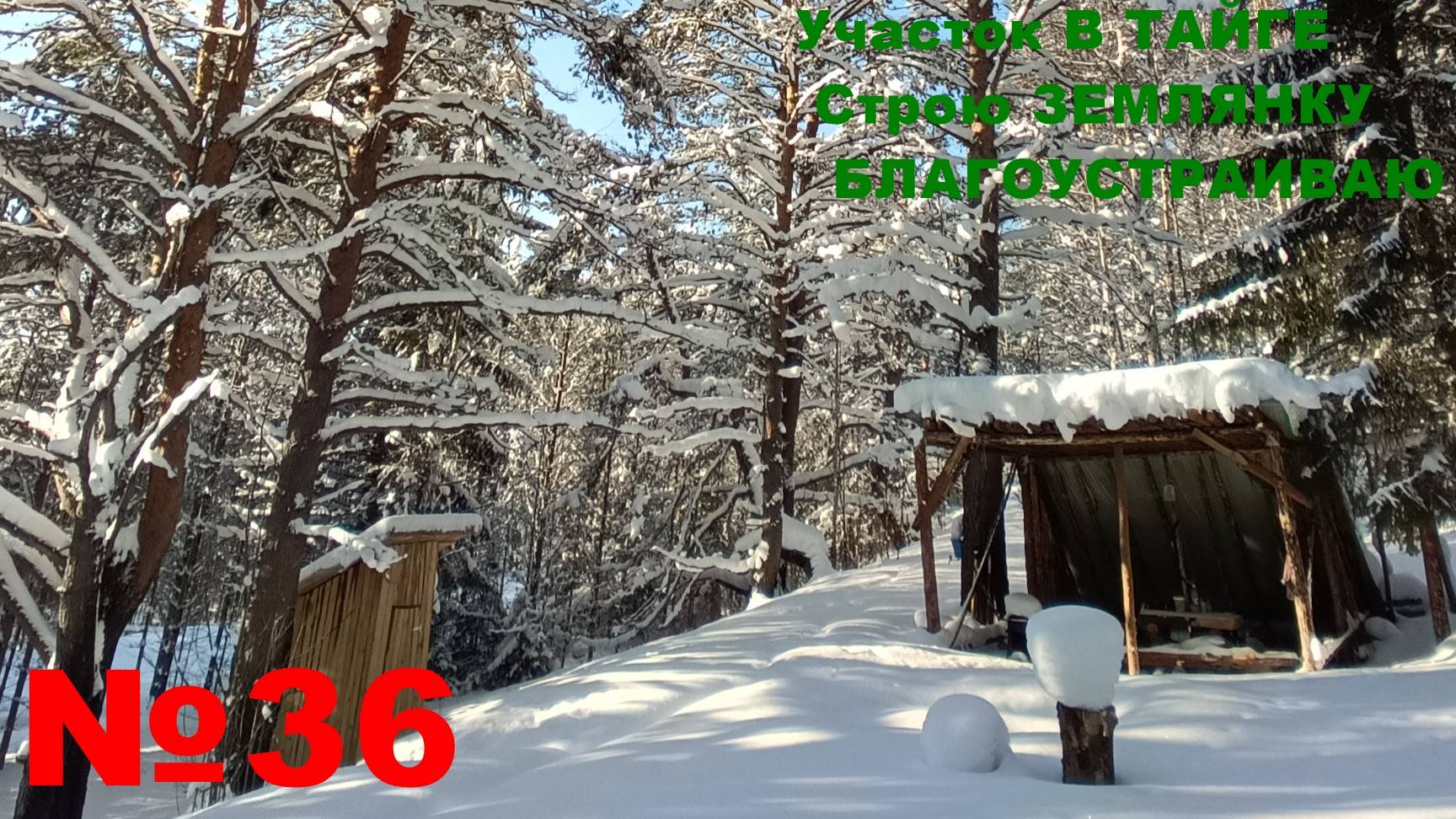 №36. На участке в тайге строю ДОМ-ЗЕМЛЯНКУ. Внутренние работы. ЭЛЕКТРИКА В ДОМЕ.