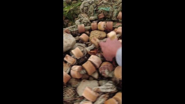 Море плюётся бочками и сетями !