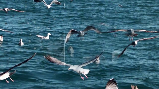 Звезда, долгая дорога в дюнах