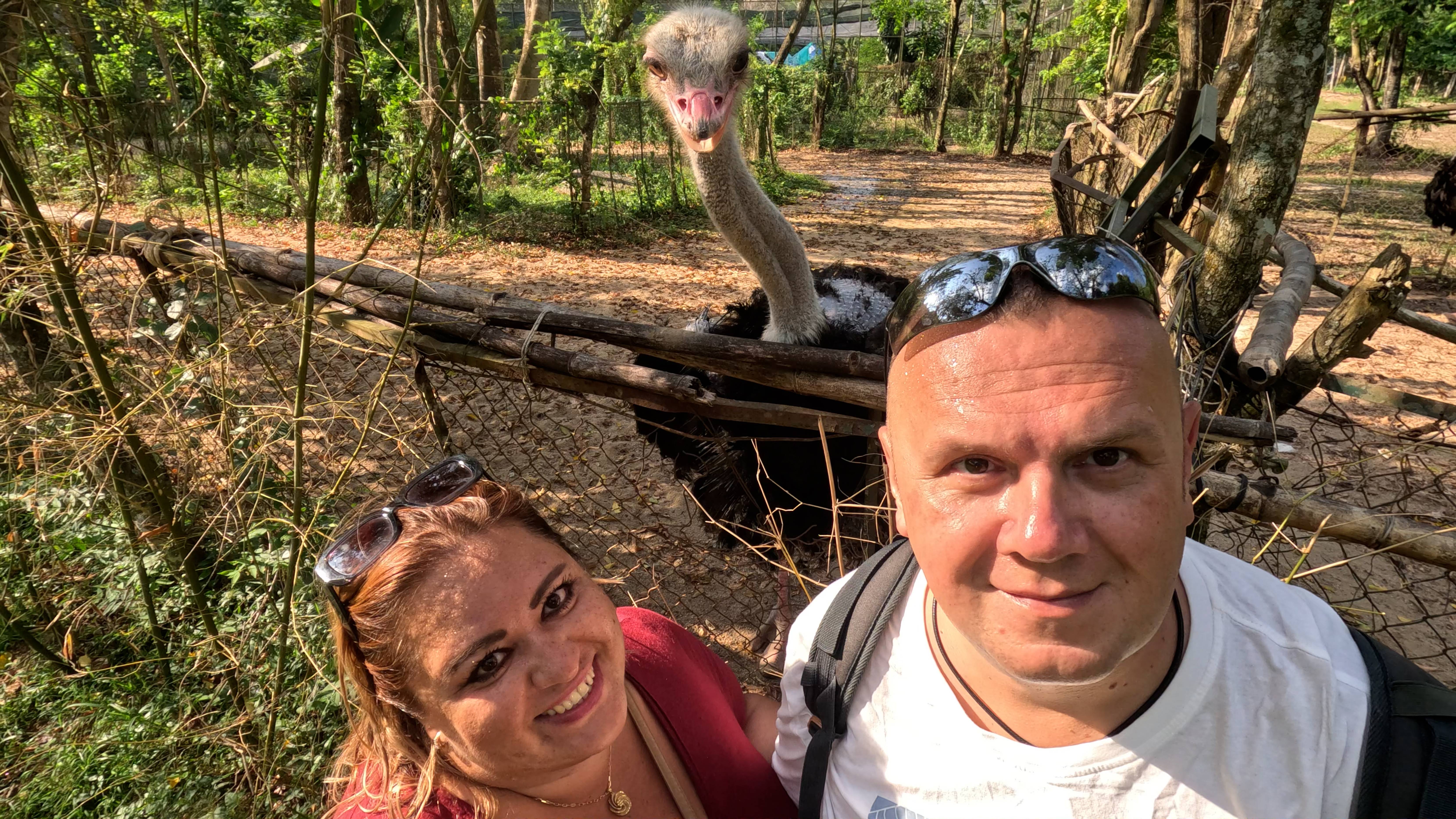 Парк Янг Бэй. Опять нас развели на деньги. Красивая природа, уродливые скульптуры, минеральные ванны