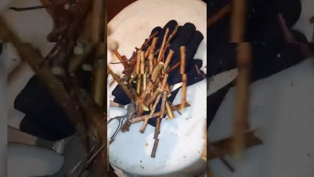 Это я приболел как-то и сделал малинового чая.