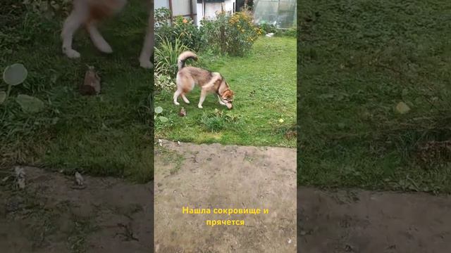 25 августа 2024 г.