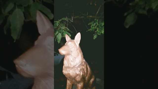 Друг человека #top1 #ейск #краснодарскийкрай #собака #друг #памятники #цезарь #городподподошвой