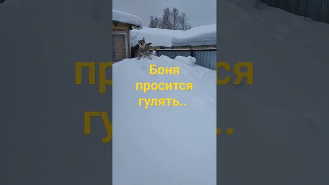 9 марта 2024 г.