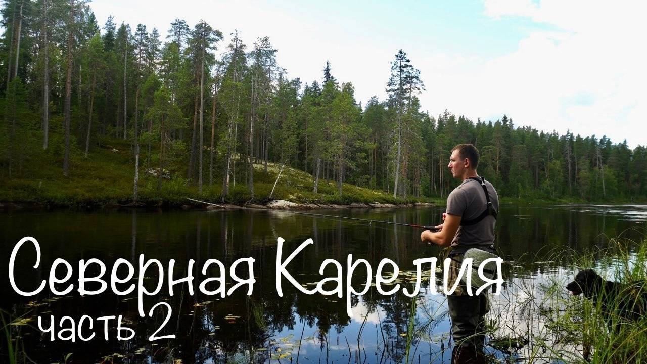 РЫБАЛКА В КАРЕЛЬСКОЙ ГЛУШИ! ЛОВИМ ДИКИХ ЩУК, ГОТОВИМ ВКУСНЕЙШИЕ КОТЛЕТОСЫ. Карелия 2024 ч.2 🌲🎣🔥🍄