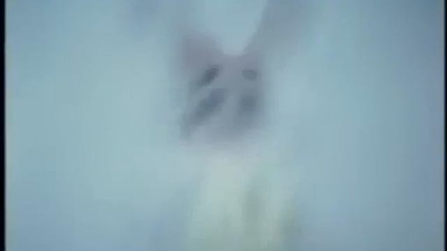 Wilk i Zając 06 przeróbka by Zenpav92