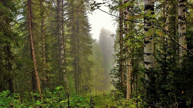 Анна и Штольман, "Лирическая", В. Высоцкий