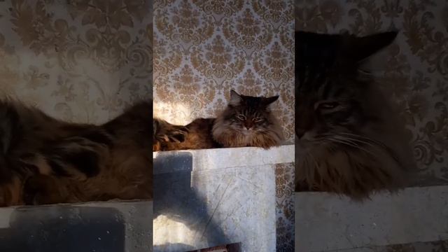 Пухлявая статуэтка