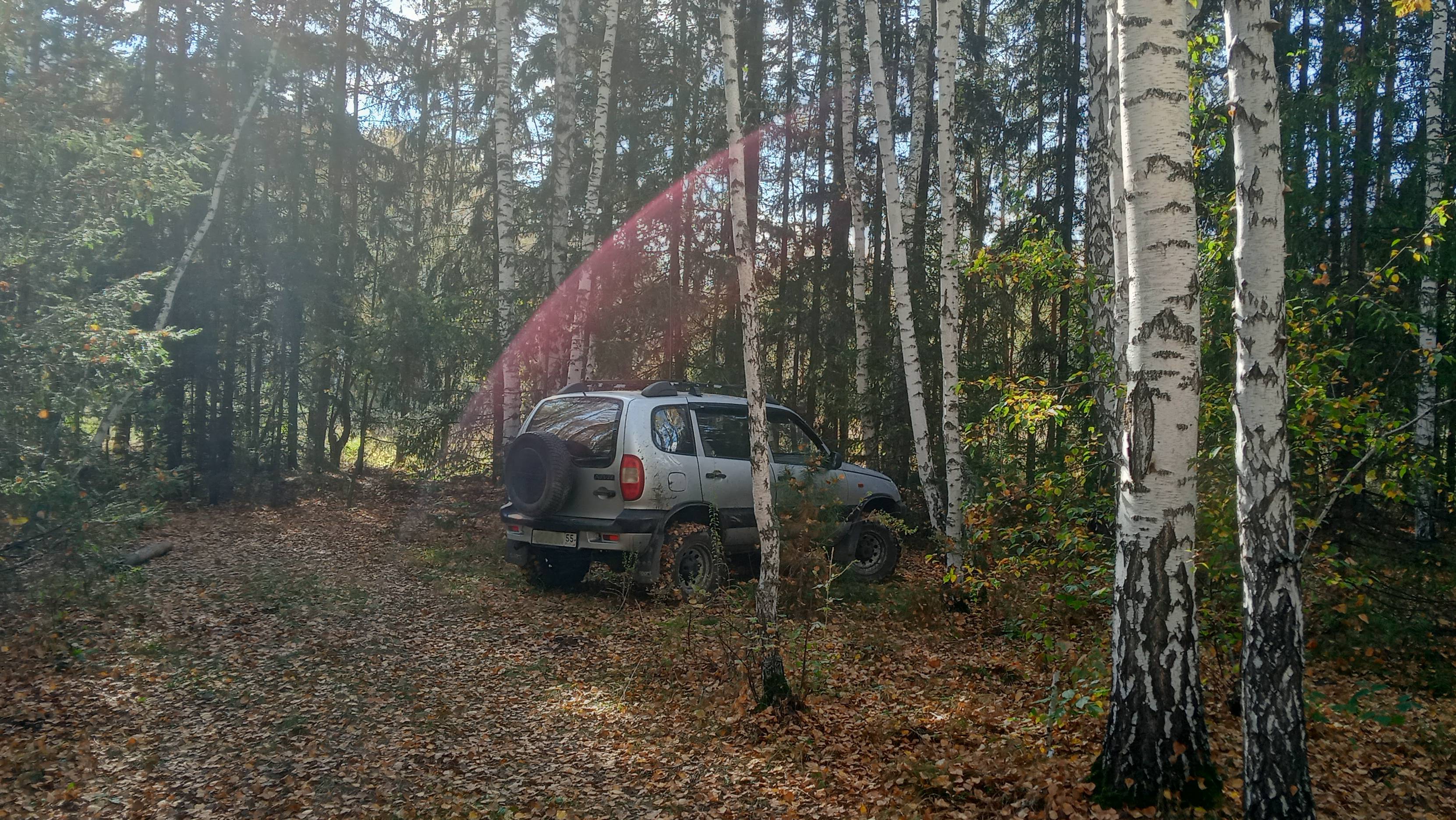 Золотая осень. Сентябрь 2024