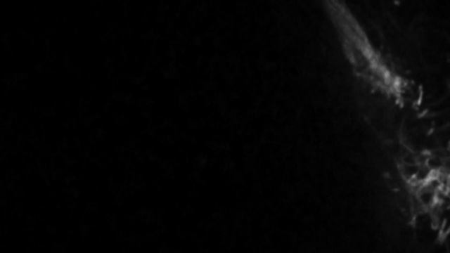 "Загнанных лошадей пристреливают, не правда ли?". Глория - Анастасия Сычёва