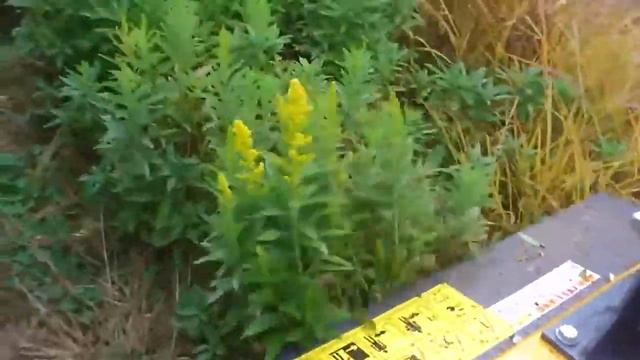 Косилка FERRI T380D