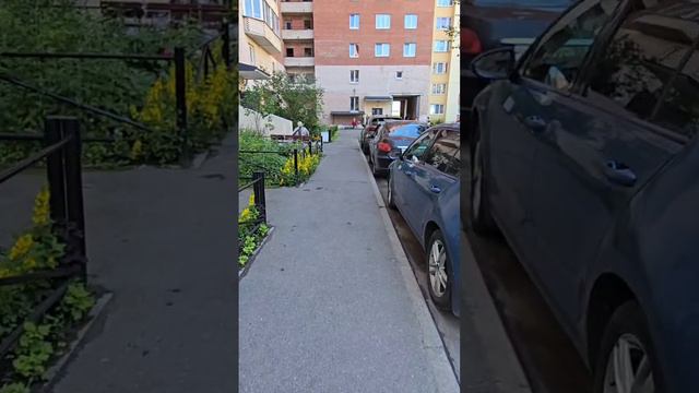 Мусорные баки Савушкина