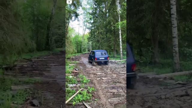 НаНПЖ клип-шоу №1