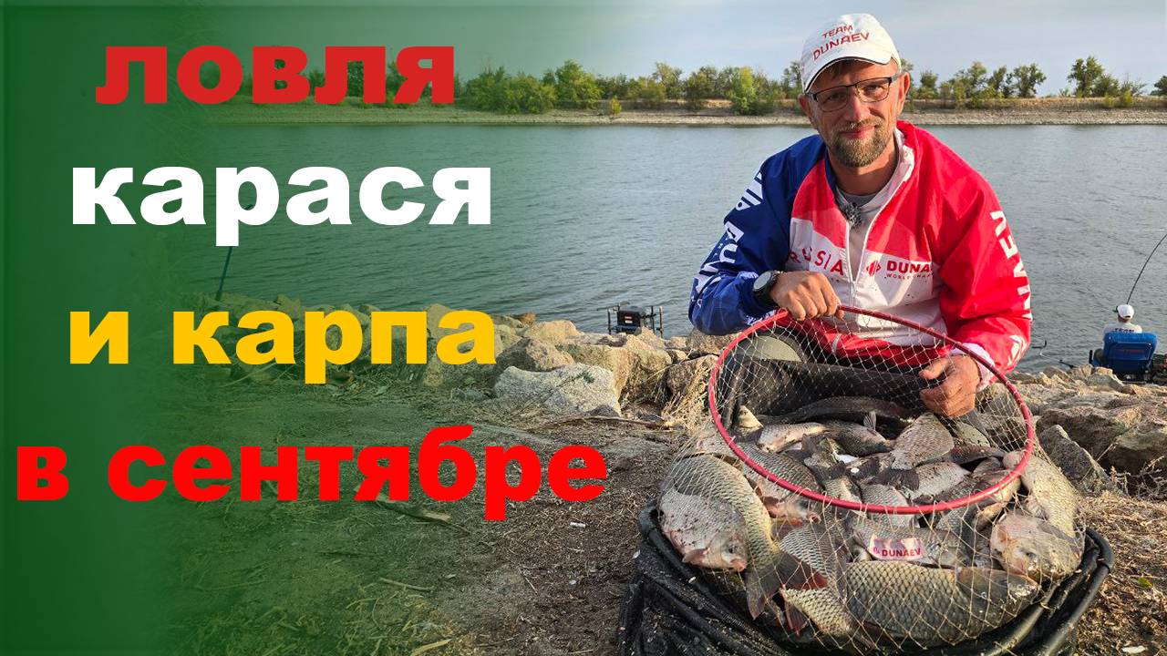 караси и сазаны в сентябре
