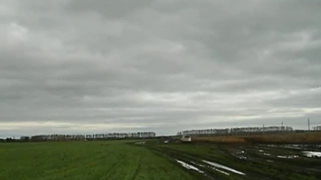 Subaru Forester (поле)