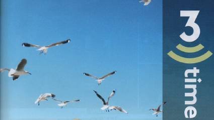 Speakout Pre-Intermediate DVD Unit 3