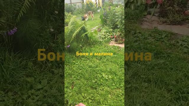 13 августа 2024 г.