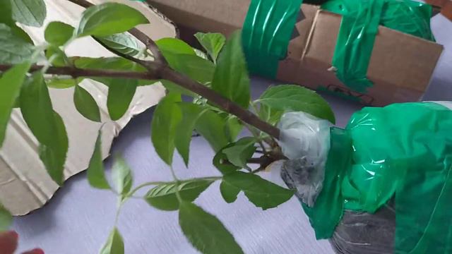 Ожидание - реальность.