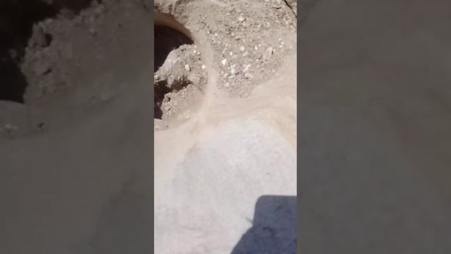 Попытался отрыть сквозную... #ейск #краснодарскийкрай #top1 #геология #камень