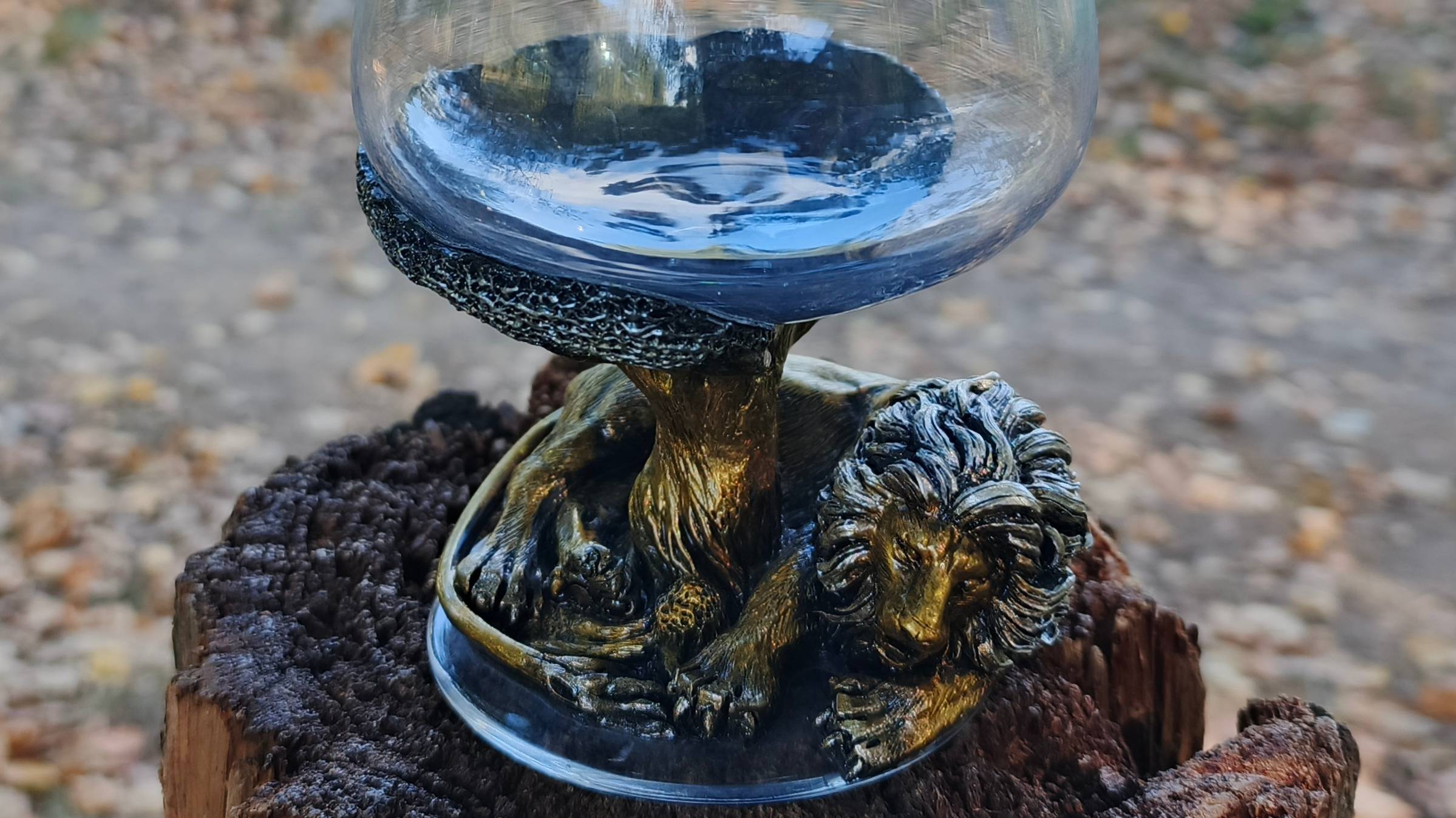 MP4 оригинал Лев из композита, обложка Озон 0.26 сек