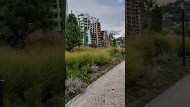 Обзор территории "ЖК Флора (Flora)" в Сочи! #новостройка