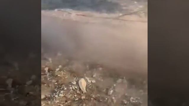 Ротоватор AR STONE в работе