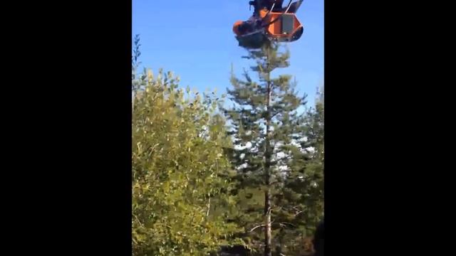 Мульчер FERRI THFM 160 расчистка просеки