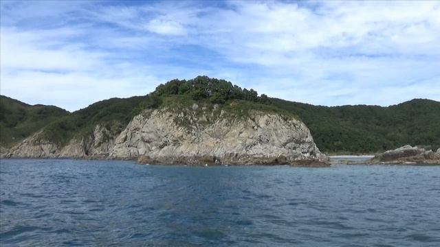 ПРОГУЛКА НА КАТЕРЕ №1/Дальневосточный морской заповедник/сентябрь 2024г