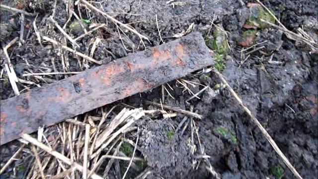 Первый весенний выход