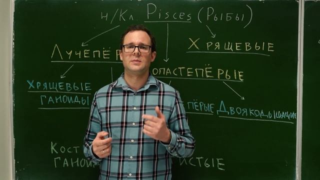 Рыбы. Объяснение. Марьинский.