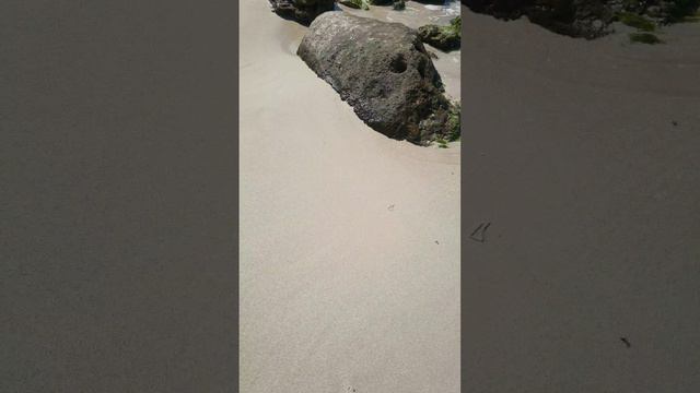 Западный Крым. Сезон 2024. Бухта Кипчак.