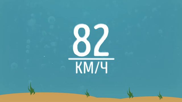 Один из серии роликов для детской викторины под эгидой ОСК. K222