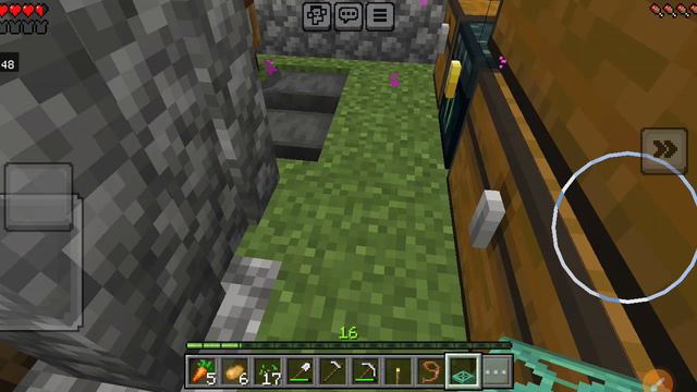 Майнкрафт, выживание N1. Сделал новые грядки в майнкрафт.