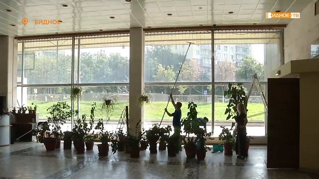 Dream Group - Видное. Эстафета "Чистый город"