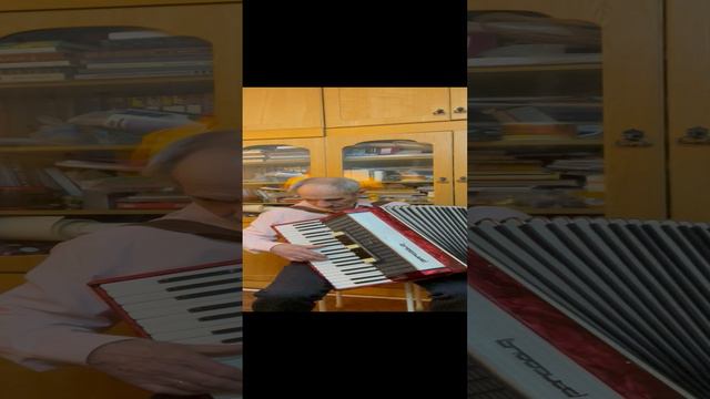 В лесу прифронтовом 23-09-2024