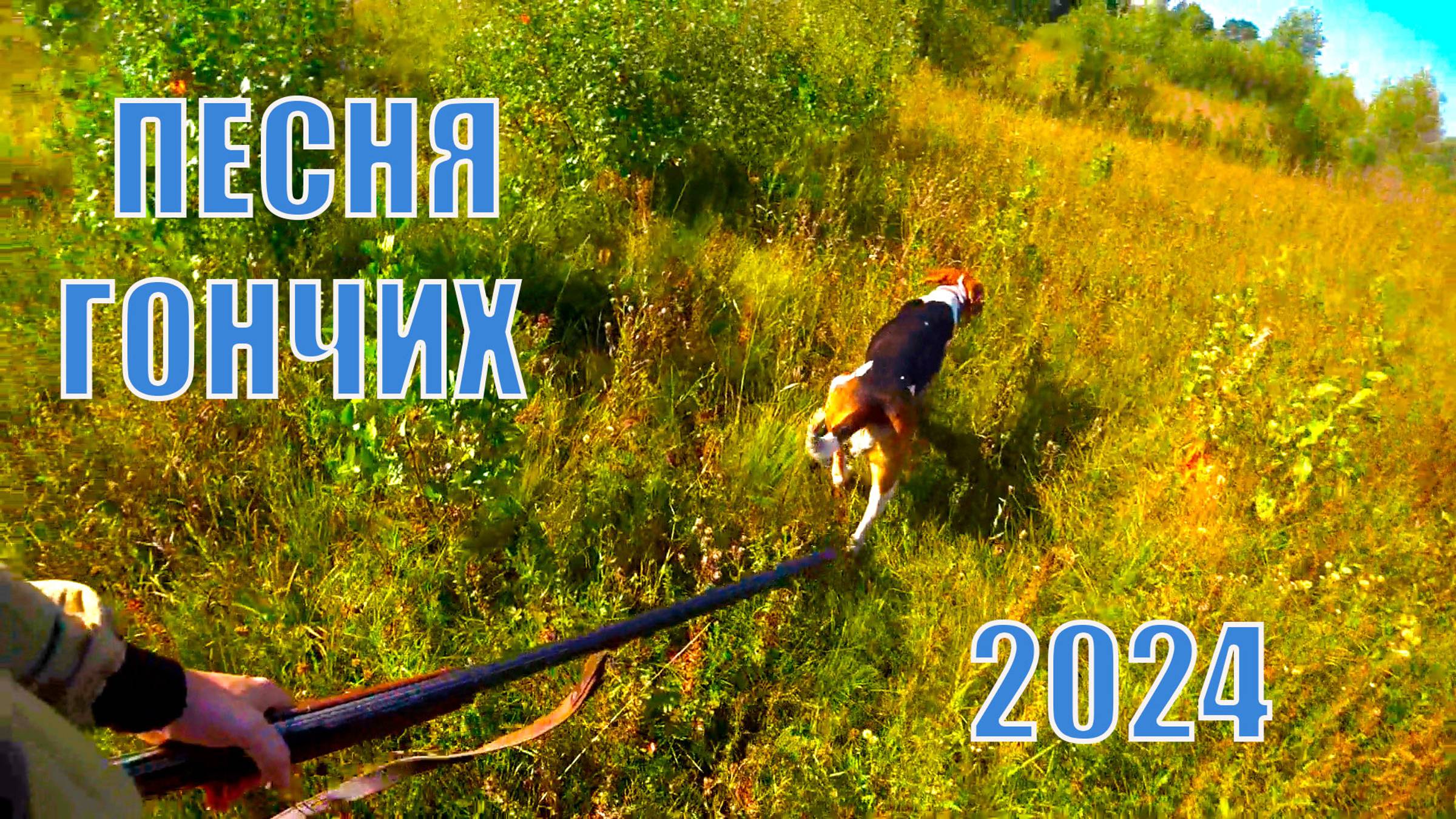Открытие охоты с ГОНЧИМИ 2024.