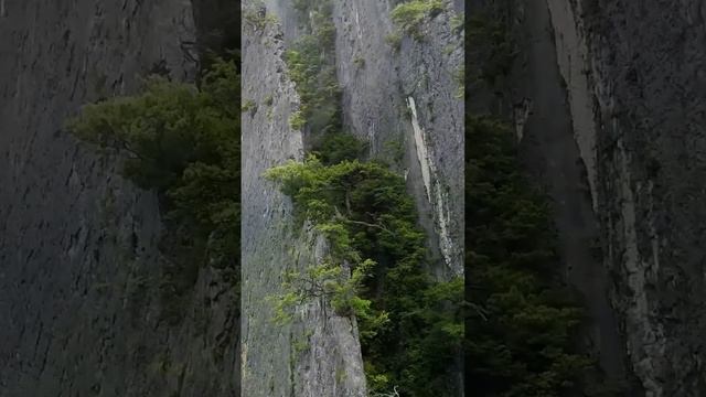 Китай, провинции Хубэй, парке Шэньнонцзя