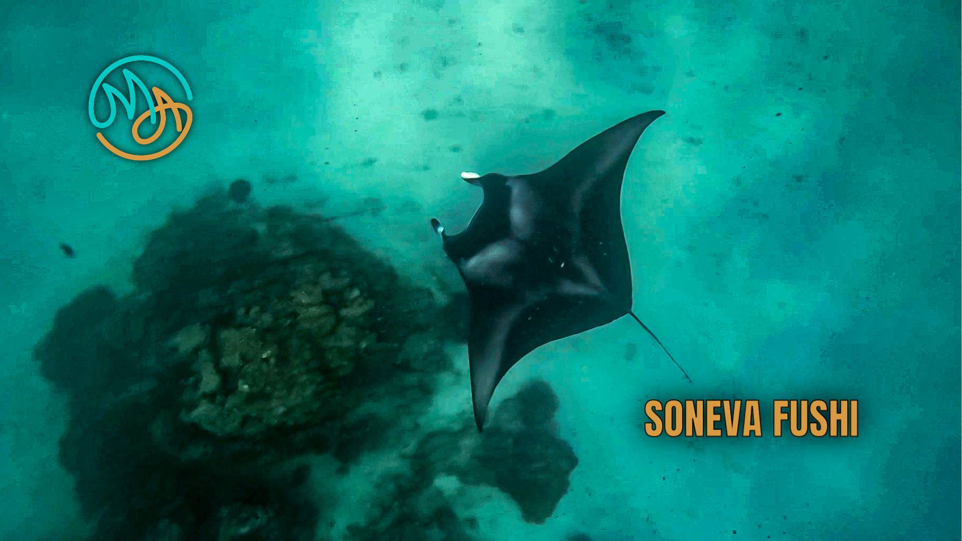 SONEVA FUSHI. Инспекция отеля на Мальдивах