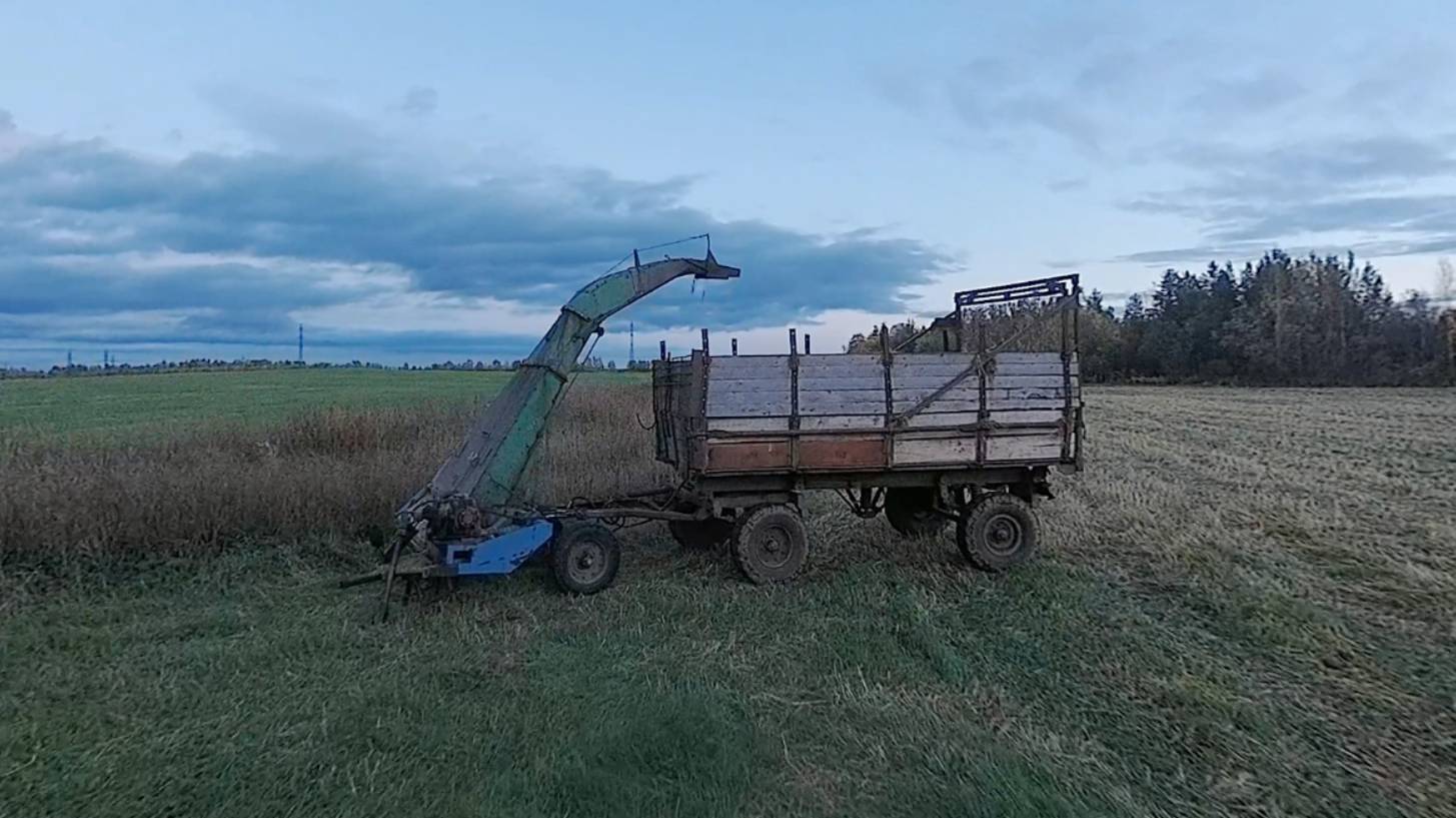 Сенокос
