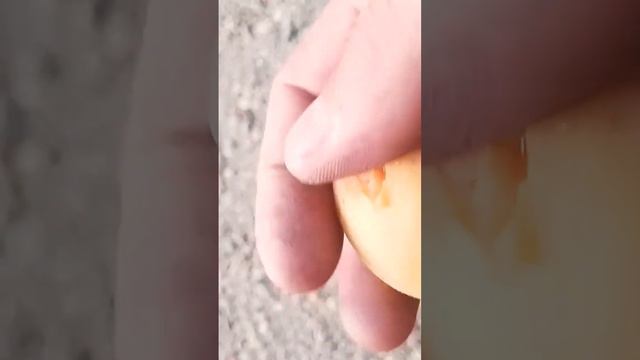 Утренний проход по местности. #ейск #краснодарскийкрай