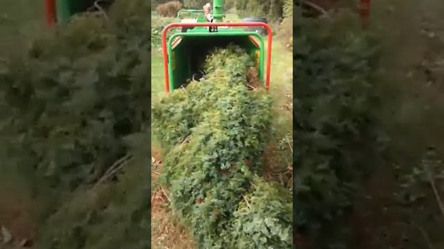 Измельчитель веток GreenMech Safetrak 16 23 в работе